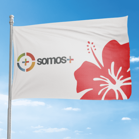 Banderas - Rixi Moncada